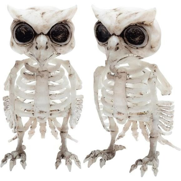 Accents | Owl Halloween Skeleton 2 Pack1 Long Weather Resistant ...